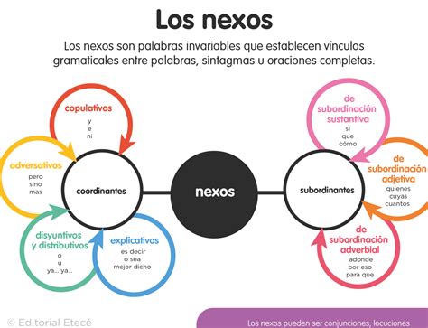 Ejemplos De Palíndromos ¿son Iguales Al Revés