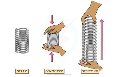 29 Facts About Elastic Potential Energy Facts Net