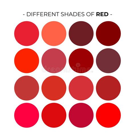 Vector Color Palette Set Design Template Multi Color Stock Vector Illustration Of Decor