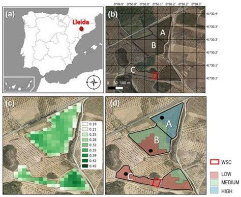 Assimilation Of Sentinel 2 Biophysical Variables Into A Digital Twin For Water Mdpi