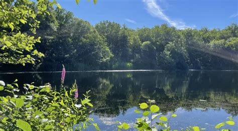 Transpose Of Matrix Leetcode 25 Aaron And Algorithms