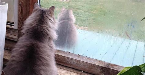 Glitch In The Matrix Imgur