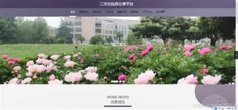 Java计算机毕业设计二次元信息分享平台（开题程序论文）计算机毕设二次元 Csdn博客