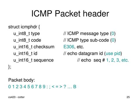 Ppt Raw Sockets Other Powerpoint Presentation Free Download Id6071699