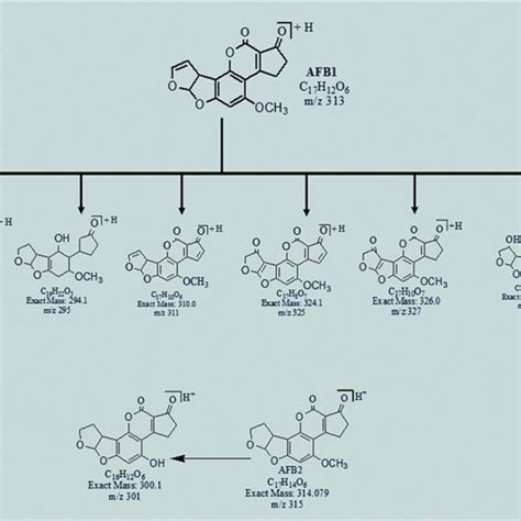 Msms Spectra And Fragmentation Pathway A Afb1 And B Afb2