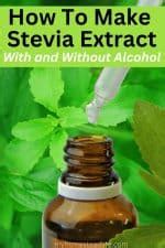 How To Make Stevia Extract With And Without Alcohol My Homestead Life