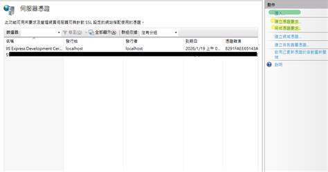 [iis] ssl憑證安裝完就消失了