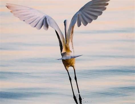 NICA Joins The Tread Lightly Program Protection Of The Natural Environment To Achieve A