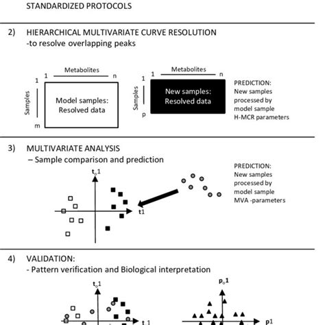 Schematic Diagram Detailing The Predictive Metabolomics Strategy 1 Download Scientific