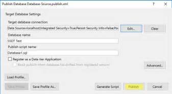 An Overview Of SSDT Developer Support