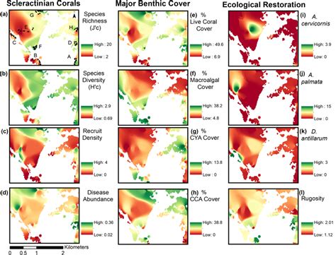inverse distance weighting idw spatial interpolations of twelve