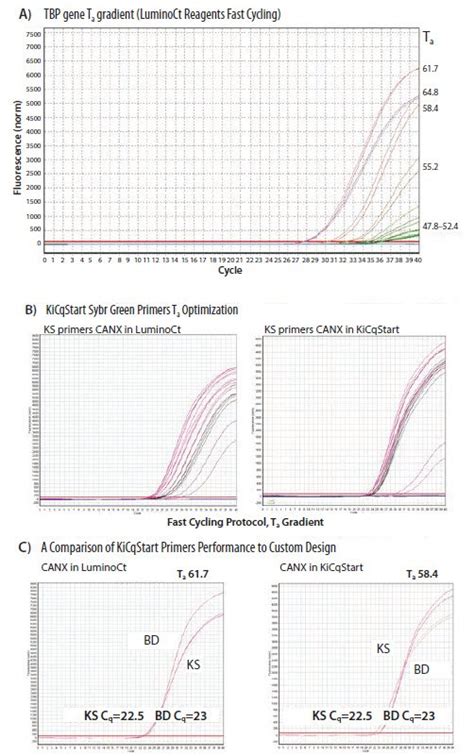 Pcr Assay Optimization And Validation