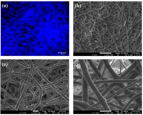 Polydioxanone Based Membranes For Bone Regeneration