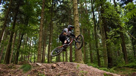Download Wallpaper 3840x2160 Bike Cyclist Jump Mtb Cross Country Forest Trees 4k Uhd 169