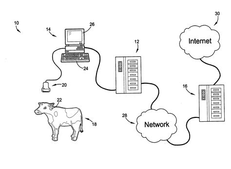 Carcasses Classification Grading Patented Technology Retrieval Search Results Eureka Patsnap