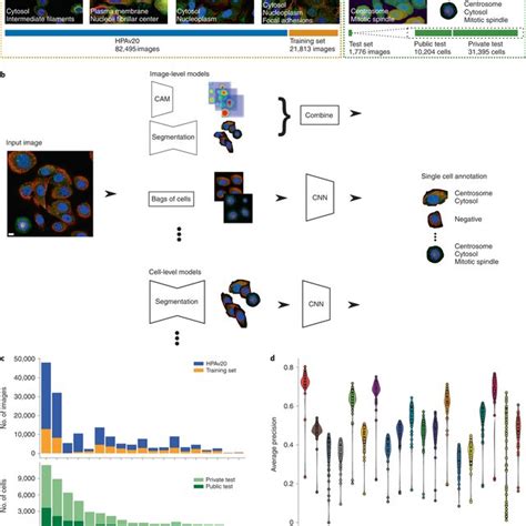 Visualization Of Learned Single Cell Features A Overview Of All