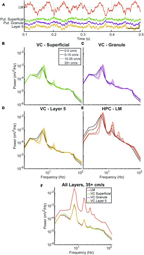 Theta And Average Power Spectral Density In The Visual Cortex And Download Scientific Diagram