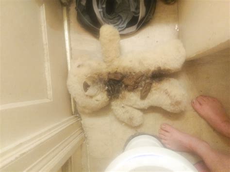 Use To Be White Bear Scat Image 3521577 Thisvid Tube