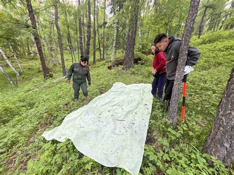 АНХААРУУЛГА‼ Байгаль орчин уур амьсгалын өөрчлөлтийн яам