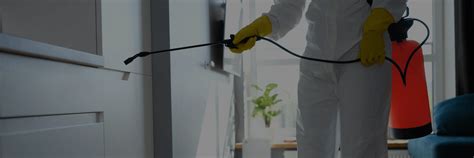 Ultimate Guide To Pest Control Vs Extermination Green Wave