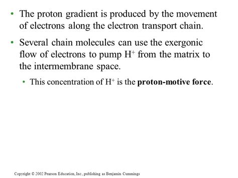 Chapter 9 Cellular Respiration Harvesting Chemical Energy Ppt Video