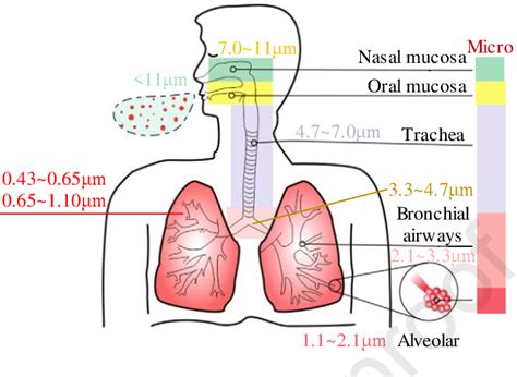 Table 1 From A Systematic Literature Review On Indoor Pm25