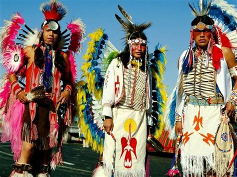 Wild Kingdom The Look Native American Navajo Tribe