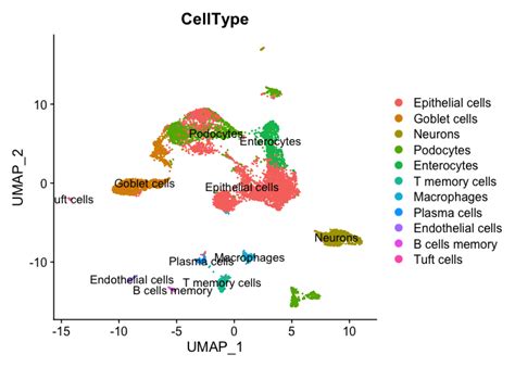 Get The Next Rmd File