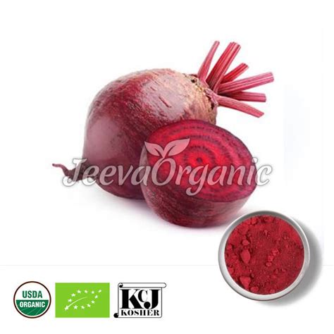 Organic Beet Root Powder Supplier Bulk Beet Root Powder