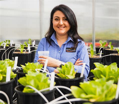 Chemistry Australia Roya Khalil Shares Her Cew Chemistry Australia