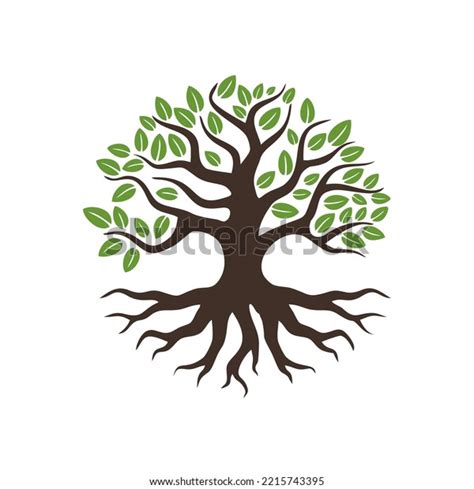 Vector Illustration Tree Roots Vector Illustration Stock Vector