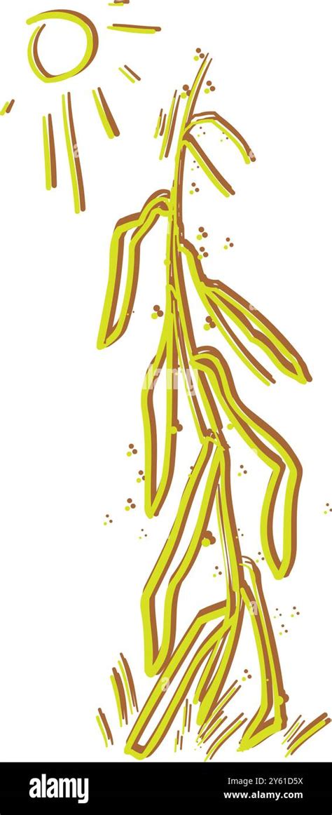 Corn Haystack In Rectangular Bundle With Ropes Countryside Farm