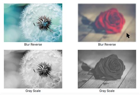 Customisable Image Effect Component For Vue Vue Script