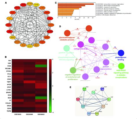 The Integrated Bioinformatics Analysis On Hub Genes A Twenty Hub