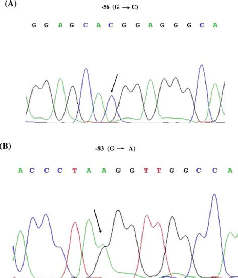 Dna Sequence Analysis Of The B Globin Gene A The Arrow Indicates The Download Scientific