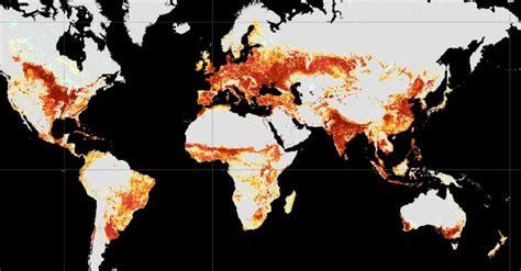 Preview Image Of World Cropland Density Map