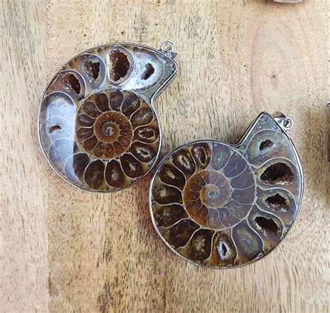 Untreated Brilliant Iridescent Fire Opalized Ammonite Fossil Specimen