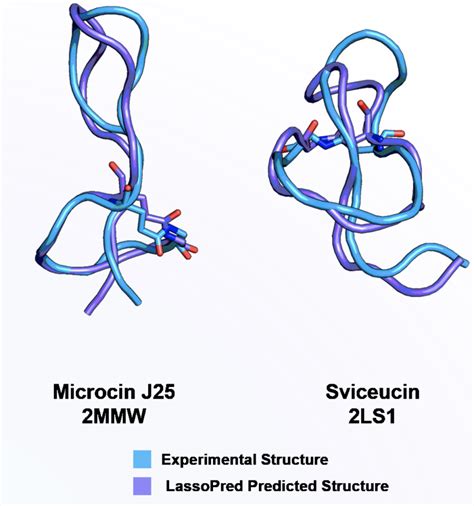Lassohtplassopred For Lasso Peptide Structure Prediction And Modeling