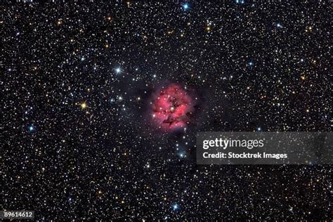 Ic 5146 Photos And Premium High Res Pictures Getty Images