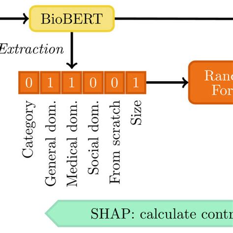 Process Used To Generate The Shapley Values For The Transformer Based Download Scientific