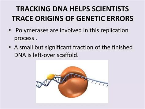 Molecular Switch That Regulates Dna Replication And Tracking Dna Pptx
