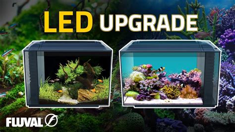 Evo Aquarium Kit 135 Us Gal 52 L Black Fluval Usa