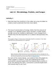 Lab 12 Report 1 1 Docx Babe Name Date Lab 12 Microbiology Protists And Fungus Activity
