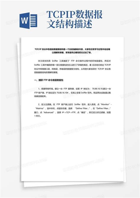 Tcpip数据报文结构描述word模板下载编号lvxvnbwk熊猫办公