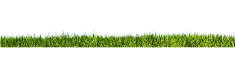 Imagens De Gras Explore Fotografias Do Stock Vetores E Vídeos De 1 190 972 Adobe Stock