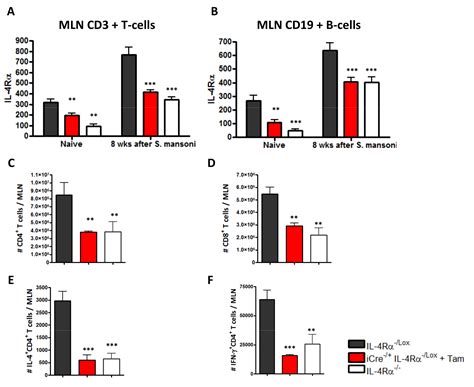 Host Regulation Of Liver Fibroproliferative Pathology During