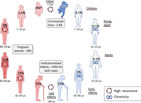 The Impact Of Biological Sex On Diseases Of The Urinary Tract Mucosal