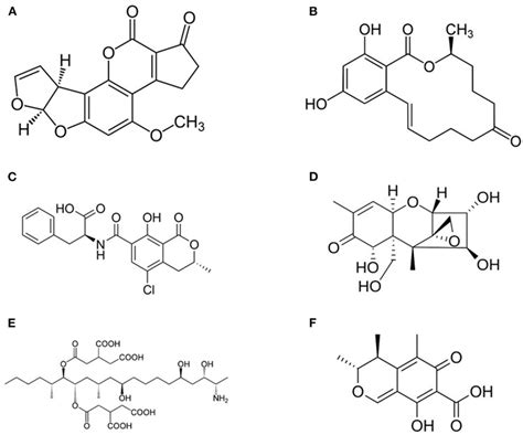 Structure Of Most Common Mycotoxins In Feed A Aflatoxin B1