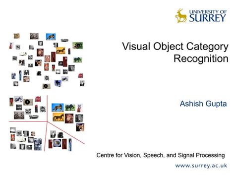Visual Object Category Recognition Ppt