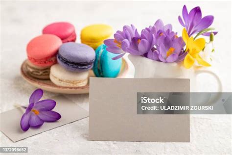 회색 종이 명함 모형 봄 눈 방울 크로커스 꽃과 회색 콘크리트 배경에 여러 가지 빛깔의 마카롱 측면 보기 복사 공간 일어나기에 대한 스톡 사진 및 기타 이미지 Istock